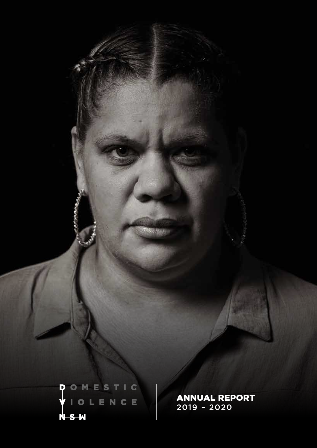 DVNSW - Our Governance